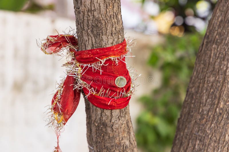 Bright Red Cloth in a Tree in Pushkar Stock Photo - Image of tree, town ...