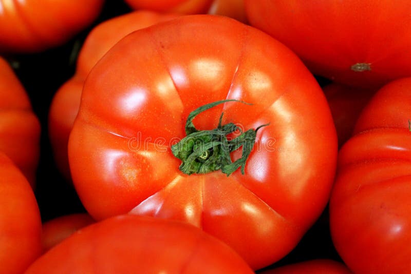 Bright Red Delicious Tomato with Green Stem among Other Tomatoes Stock ...