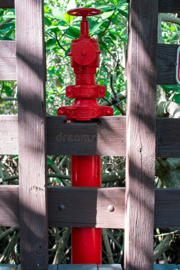 A Bright Red Fire Hydrant on a Boardwalk in a Lush Forest Stock Image ...