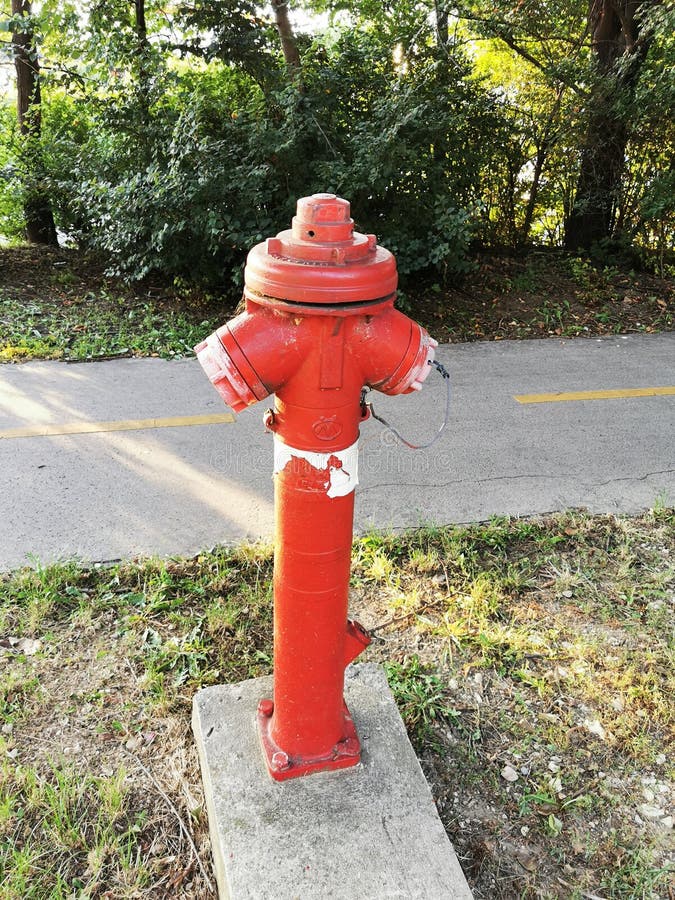 Bright Red Fire Hydrant Stands Guard Along a Quiet Pathway Surrounded ...