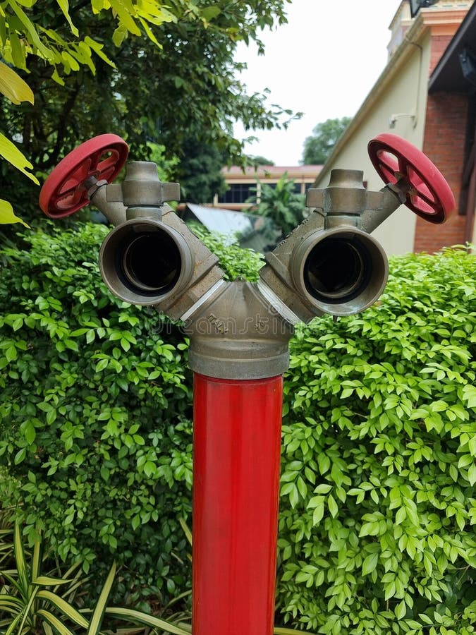 A Bright Red Fire Hydrant Stands Prominently Amidst Lush Greenery ...