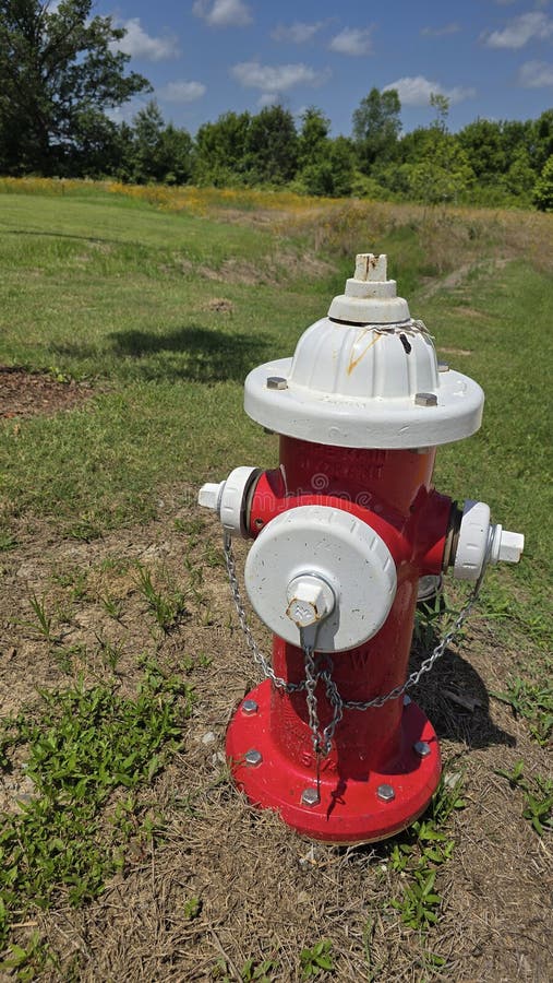 Bright Red Fire Hydrant Surrounded by Green Grass Under a Sunny Sky ...