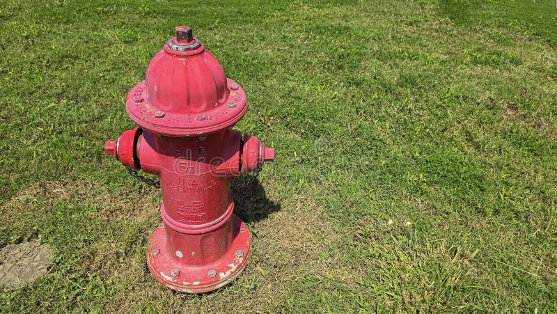 Bright Red Fire Hydrant Surrounded by Green Grass Under a Sunny Sky ...