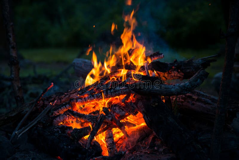 Bright Red Flame of a Campfire in the Forests of Altai Stock Image ...
