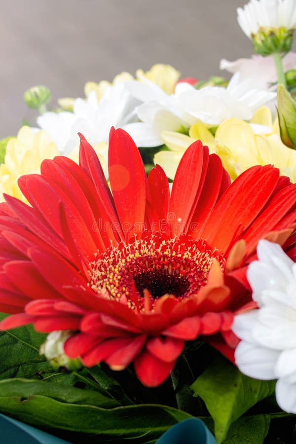 Bright Red Flower in Bouquet Close Up Stock Image - Image of leaf ...