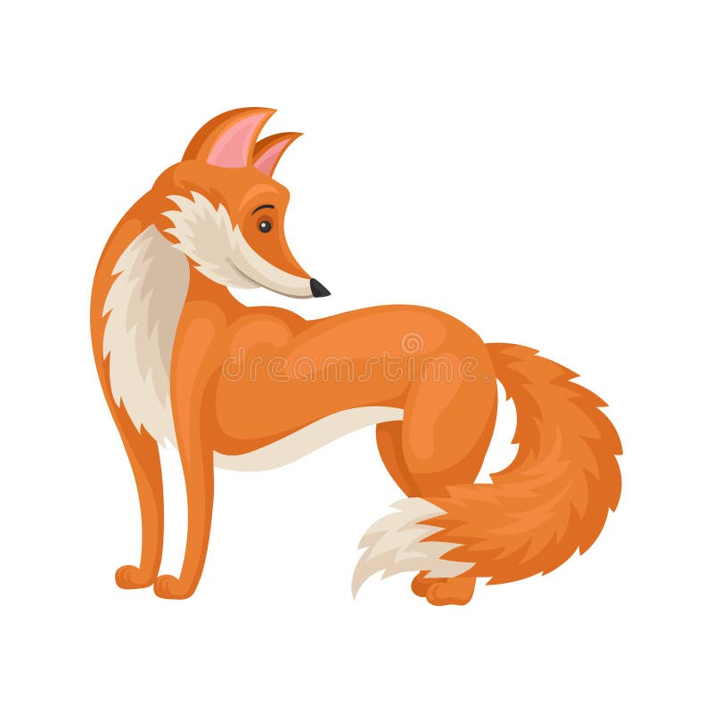 Cartoon Fox Side Stock Illustrations – 353 Cartoon Fox Side Stock ...