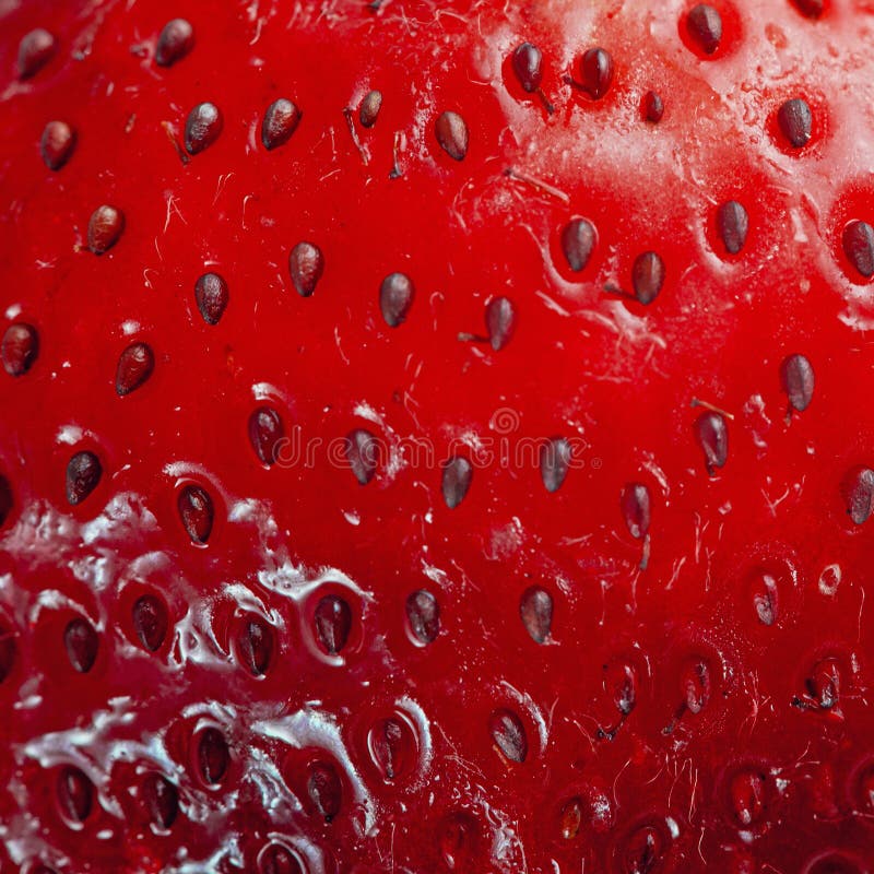 Bright Red Juicy Strawberry Closeup Stock Photo - Image of pattern ...