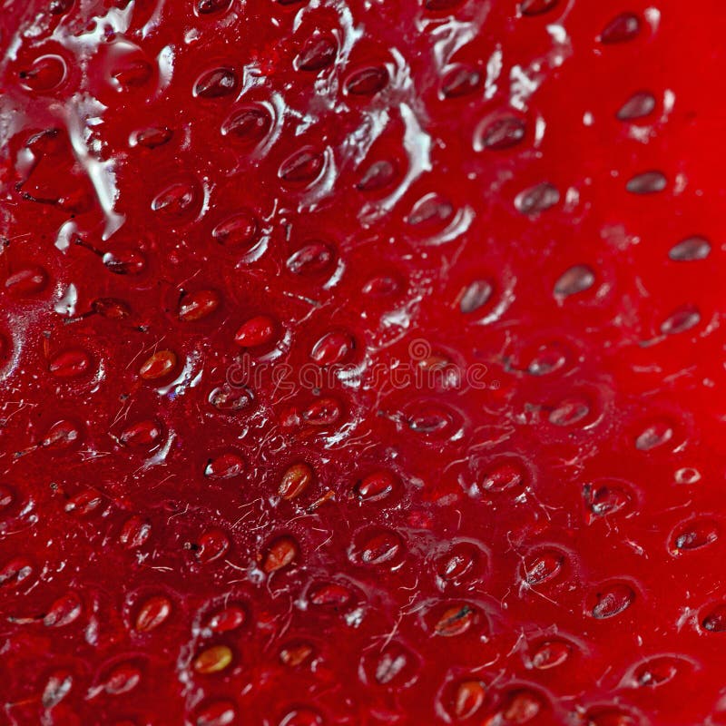 Bright Red Juicy Strawberry Closeup Stock Photo - Image of ornament ...