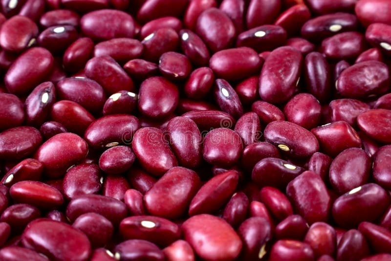 Bright Red Kidney Beans Texture Close Up. Stock Photo - Image of crop ...