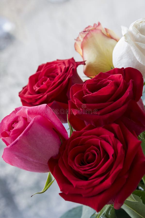 Bright Red, Orange, Pink and White Roses in the Bouquet Stock Image ...