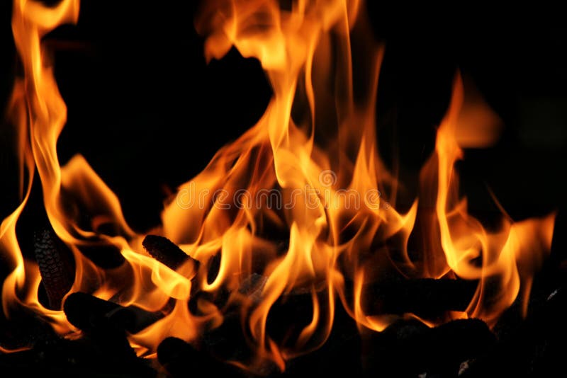 Bright Red and Orange Real Fire Stock Image - Image of closeup, blue ...