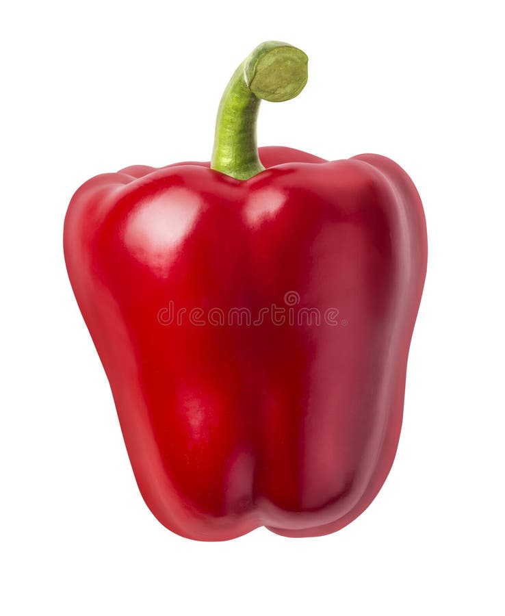 Bright red pepper stock photo. Image of bulgarian, cooking - 291501780