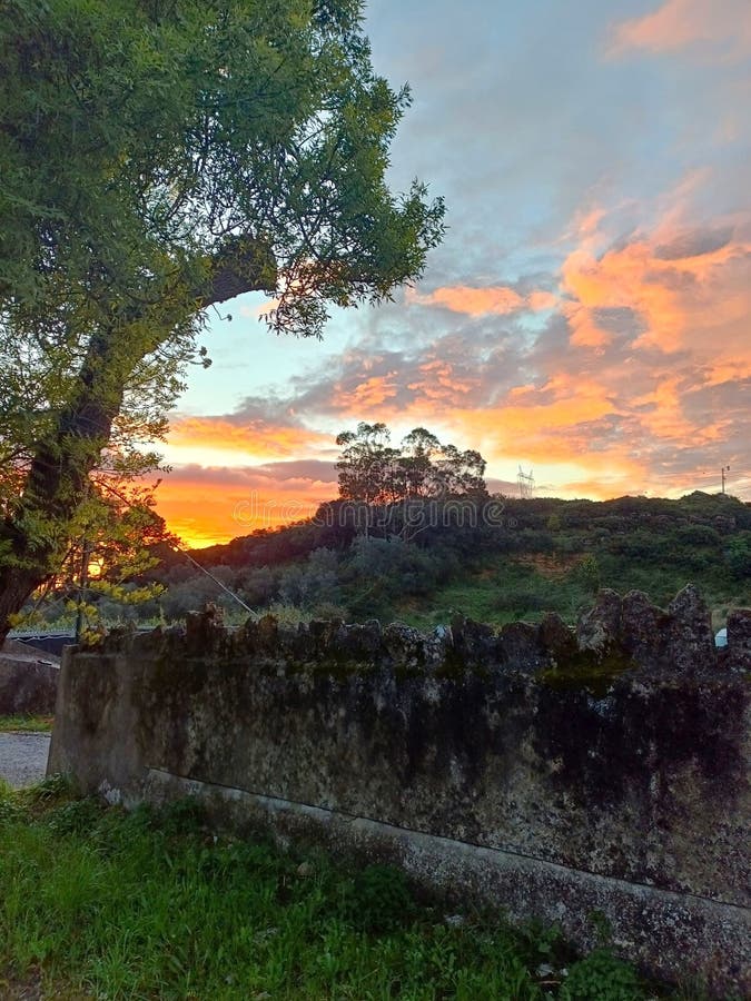 Bright Red Sunrise in the Forest Stock Photo - Image of sunbeams ...