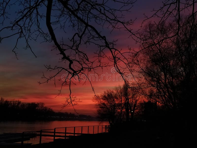 Bright Red Sunset with Tree Silhouettes Stock Photo - Image of cloud ...