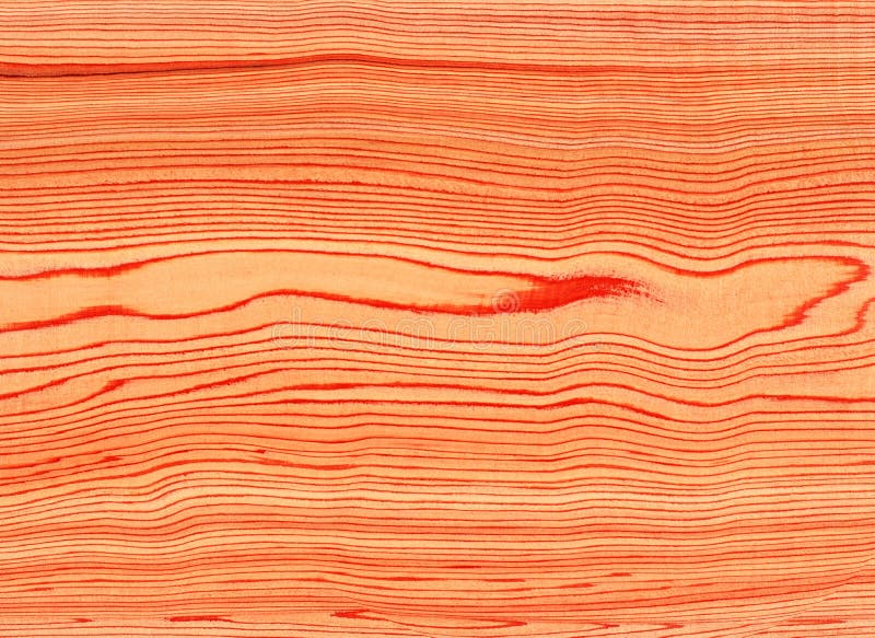 Texture of Root Oak, Wood Texture Stock Photo - Image of detail, design ...