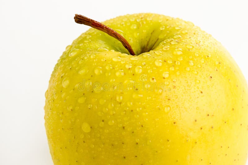 Bright Ripe Yellow Apple in Water Drops Stock Photo - Image of healthy ...