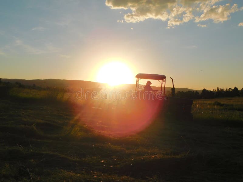 The Bright Round Sun Shining Behind the Silhouette Farmer on a Tractor ...