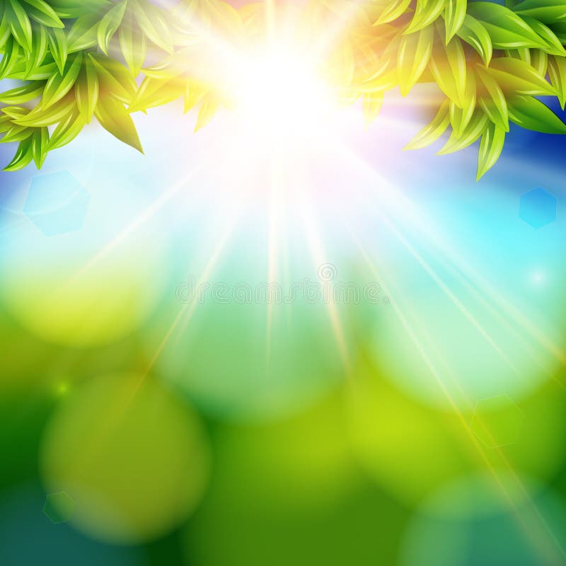 Bright Shining Sun with Lens Flare. Soft Background with Bokeh E Stock ...