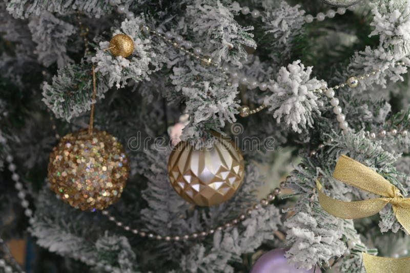 Bright Shiny Gold Toy on the Green Tree Stock Image - Image of gold ...