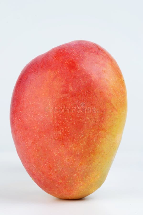 Bright orange color tree stock image. Image of autumnal - 231261475