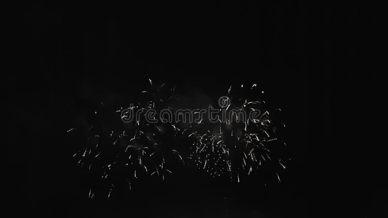 Bright Silver Colored Fireworks Against the Dark Night Sky. Stock ...