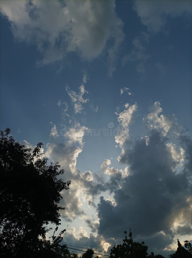 The Bright Sky Makes the Trees Look Like Silhouettes Stock Image ...