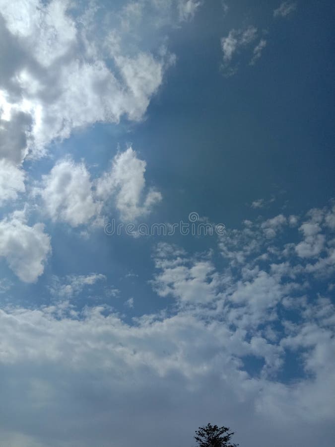 The Atmosphere in the Morning with a Very Bright Sky Looks Beautiful ...