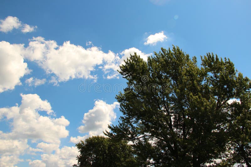 Bright sky stock image. Image of bright, tree, clear - 95227183