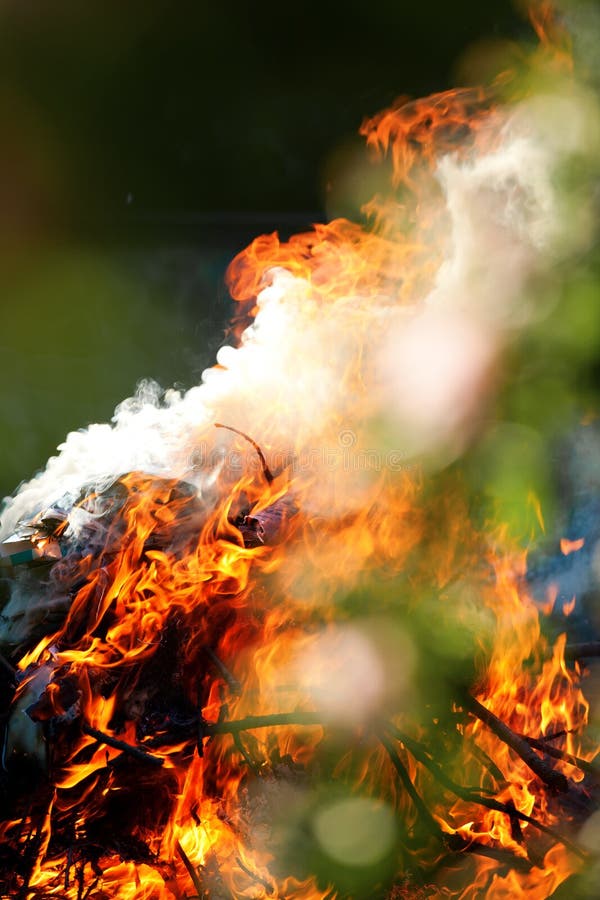 Bright Fire in the Rays of Sunlight Stock Image - Image of heat, fire ...