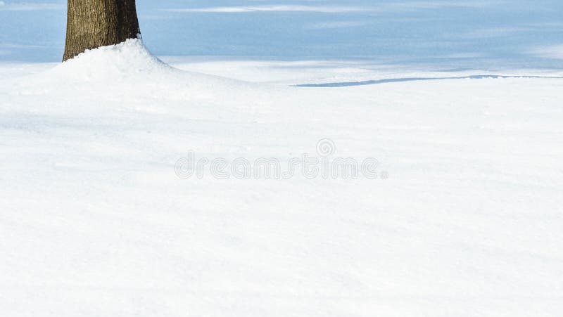 Bright Snow White Surface with Tree in the Corner in Sunny Mornign ...