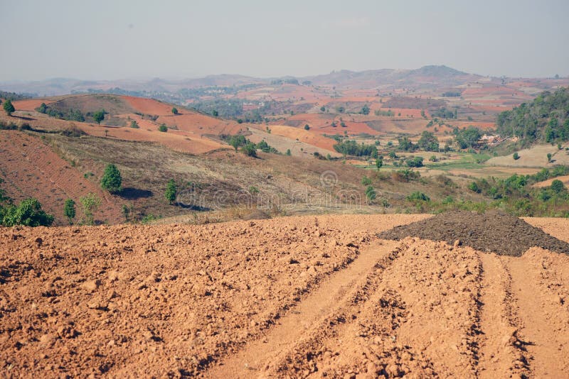 Bright soil in the fields stock photo. Image of tree - 91198438
