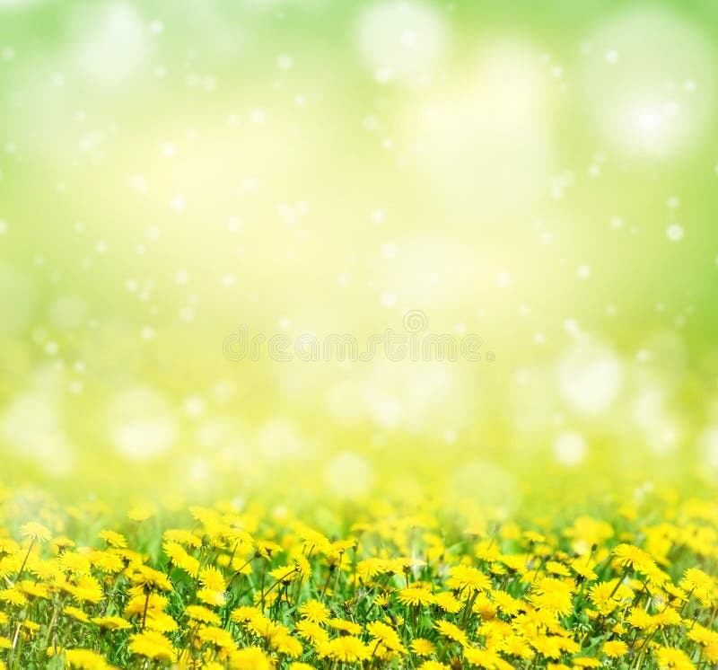 Bright spring background. stock photo. Image of design - 107978794