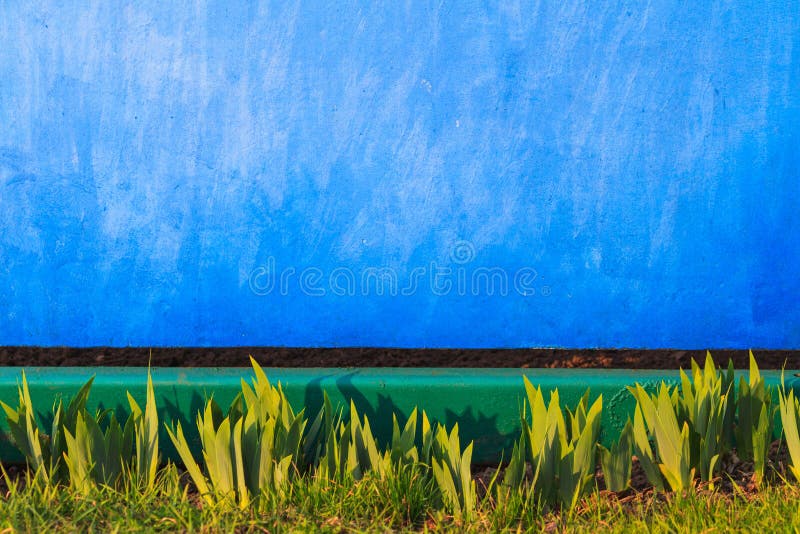 Bright Spring Blue Background and Sprouts of Flowers Stock Photo ...