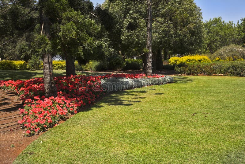 Bright Spring Day in Magnificent Park Stock Photo - Image of tree ...