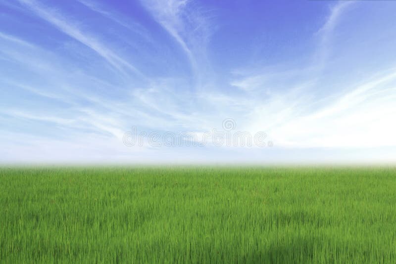 Bright spring fields stock image. Image of bright, nature - 35125101
