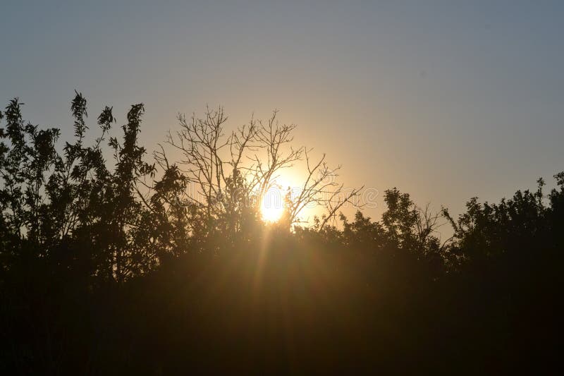 The Bright Spring Sun Peeks Out from Behind the Trees. Stock Image ...