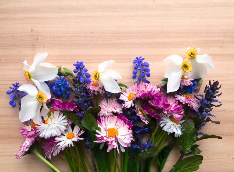 Bright spring flowers stock image. Image of leaf, natural - 96032243