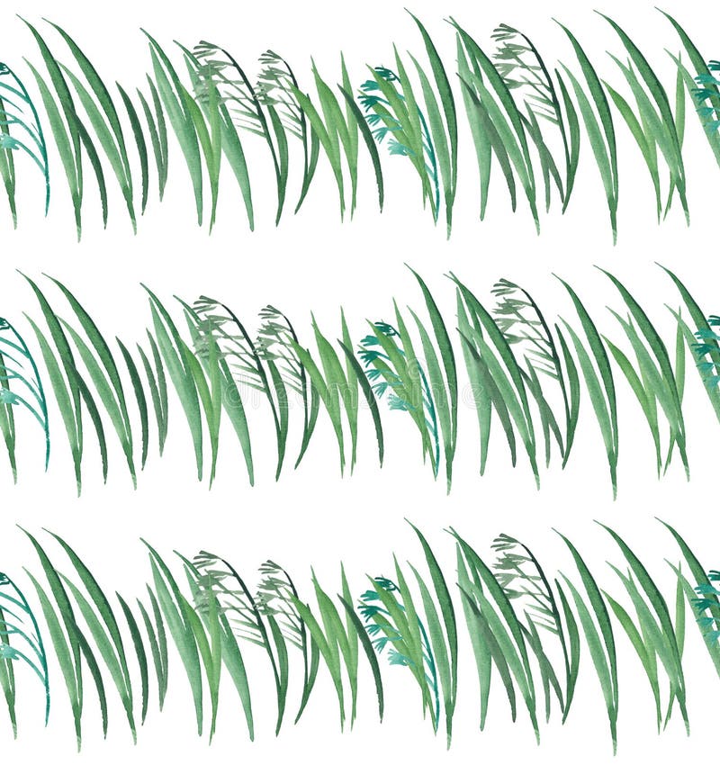 Bright Spring Graphic Herbal Floral Pattern of Green Grass with Oat ...