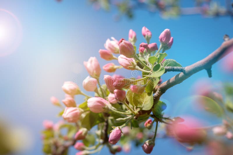 Bright Spring Nature Picture Stock Photo - Image of template, light ...
