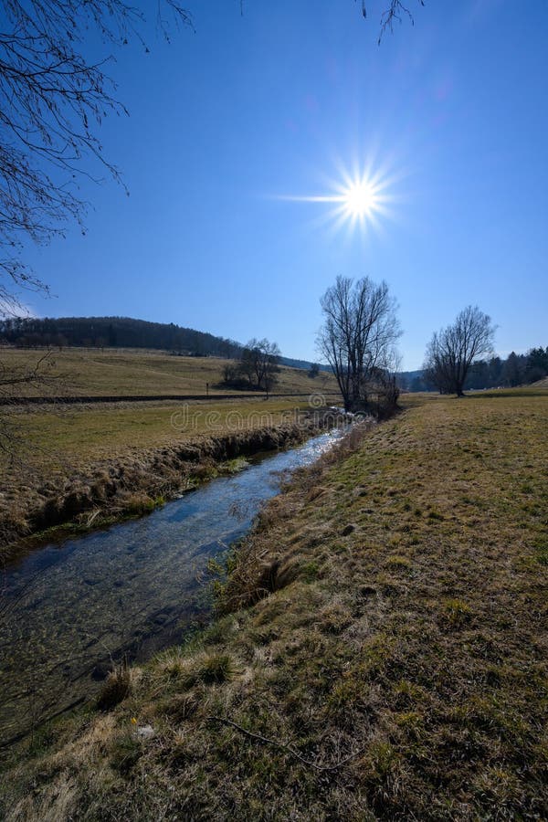 Bright Spring Scenery of a Creek Stock Image - Image of trees, tree ...
