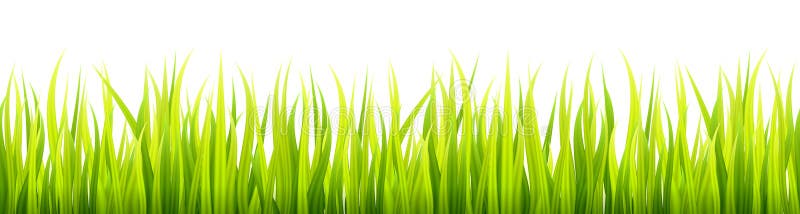 Bright Springtime Lawn Banner. Stock Vector - Illustration of ...