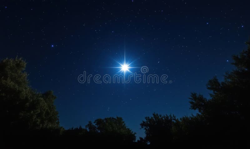 Bright Star Shining Night Sky Surrounded Stars Trees Stock Photos ...