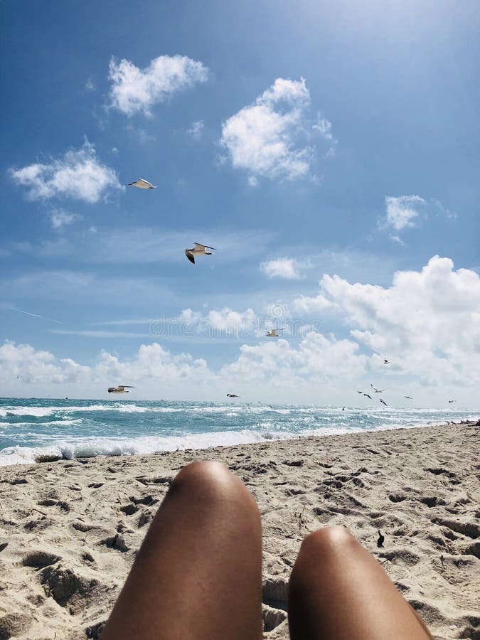 Legs stock photo. Image of summer, colors, legs, bright - 173282766