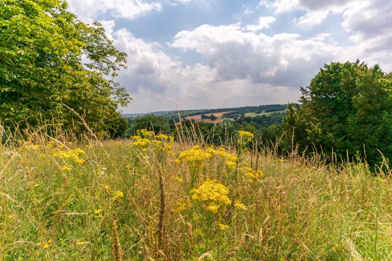 Chiltern Countryside Landscape Stock Photo - Image of view, wycombe ...