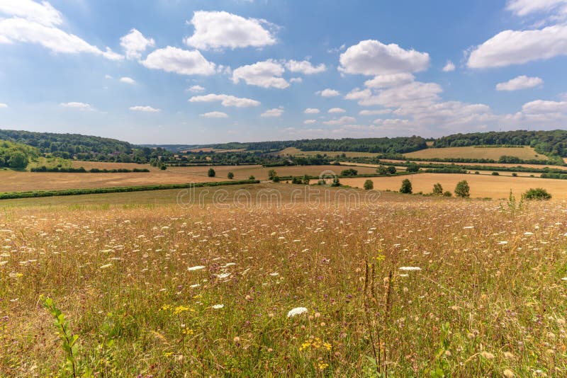 872 Chiltern Hills Photos - Free & Royalty-Free Stock Photos from ...