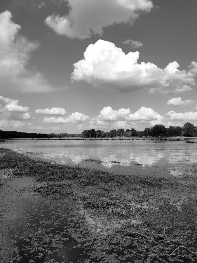 A Bright Summer Day on Riverside Stock Photo - Image of riverside ...