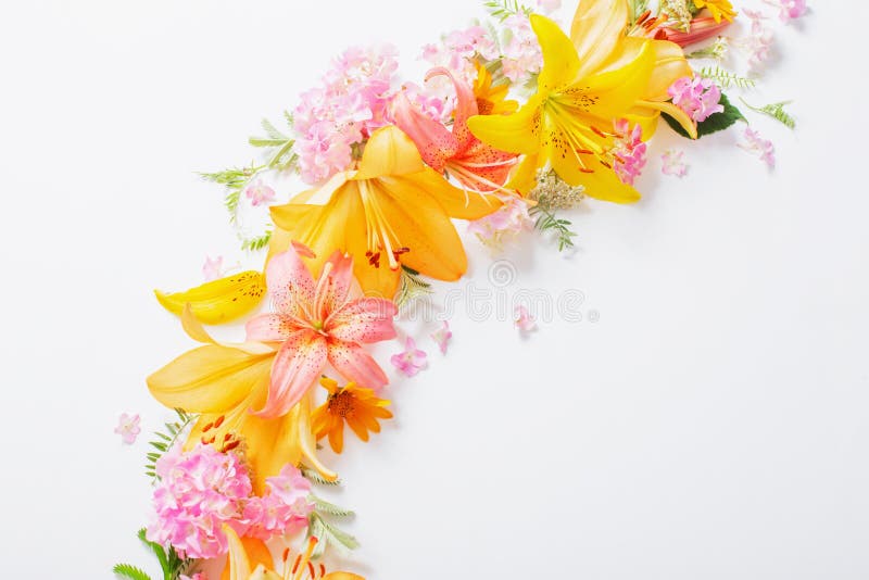 Summer Flowers on White Background Stock Photo - Image of floral ...