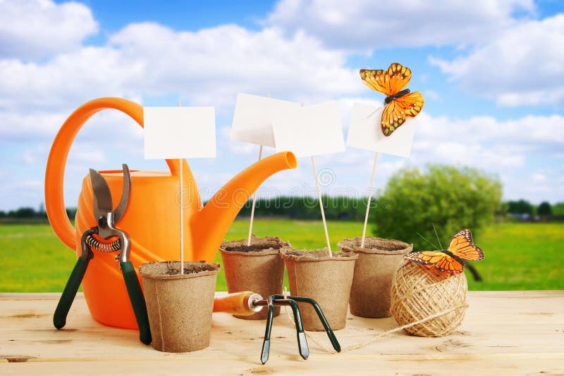Bright Summer Background with Butterflies and Grass Stock Photo - Image ...