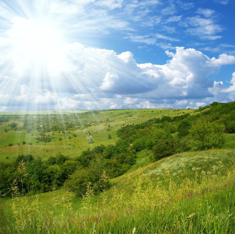 Bright summers day stock photo. Image of horizon, pasture - 7965394