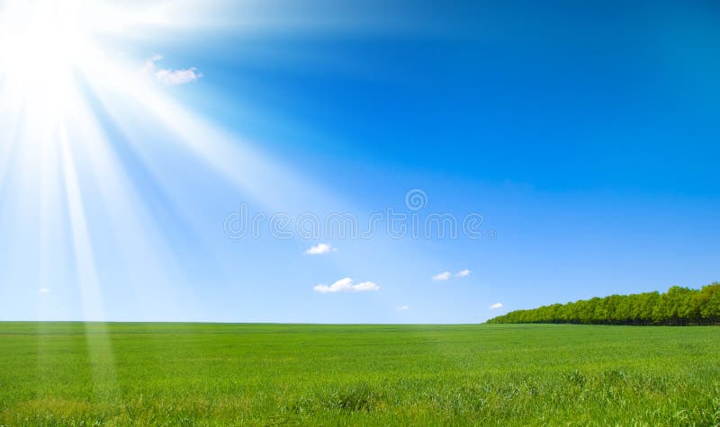Bright summers day stock image. Image of cloudscape, park - 9966931